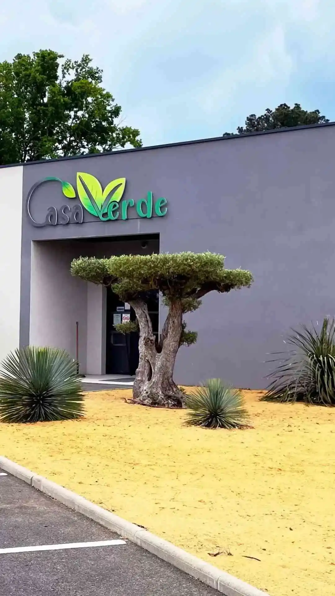 Atmosphère de notre restaurant autour d Angers - Casa Verde